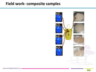 Guideline for soil sampling and Processing | PPTX