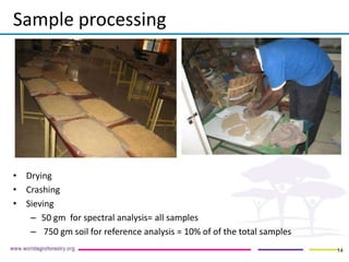 Guideline for soil sampling and Processing | PPTX