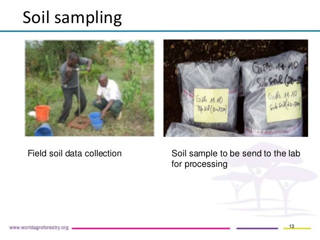 Guideline for soil sampling and Processing
