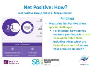 The Path to Net Positive: Principles, Practical Models and Progress to ...