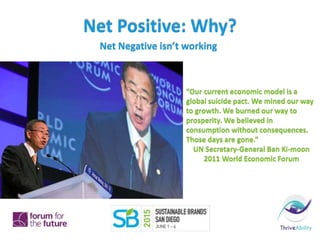 The Path to Net Positive: Principles, Practical Models and Progress to ...