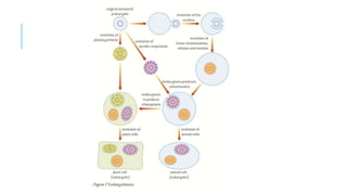 9. the origin of cells | PPTX