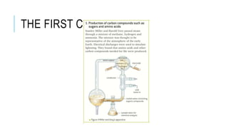 9. the origin of cells | PPTX