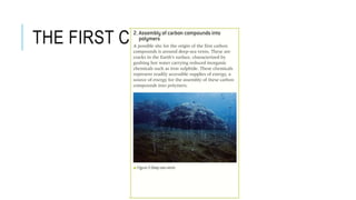 9. the origin of cells | PPTX