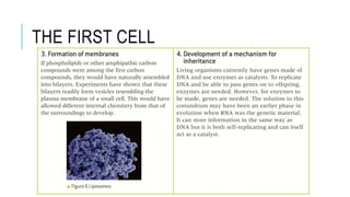 9. the origin of cells | PPTX