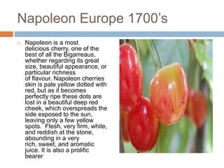 9.cherries varities in the world By Allah Dad Khan | PPTX