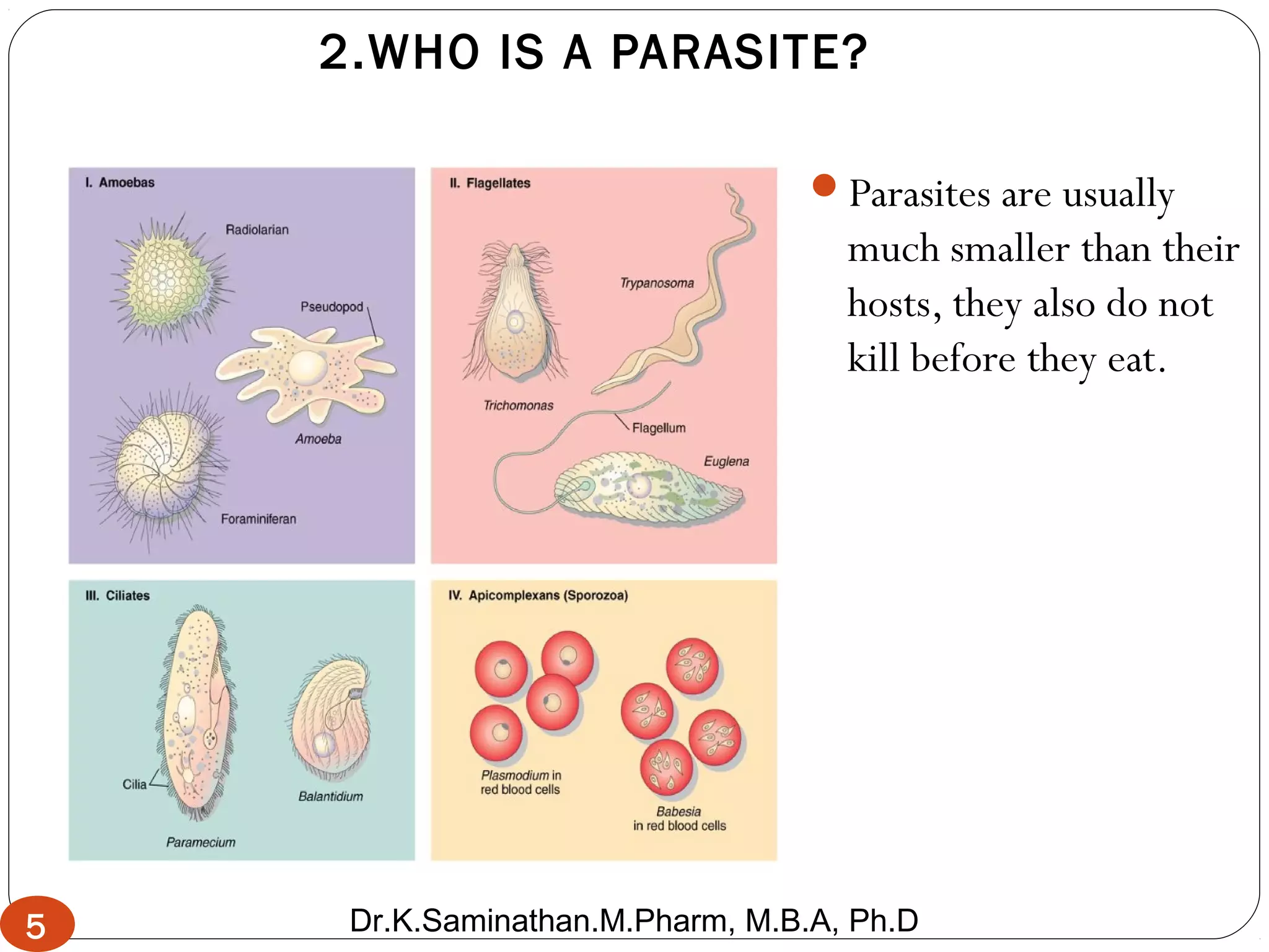 9.ANTIPROTOZOAL DRUGS | PPT