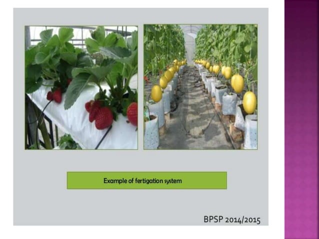 9.Fertigation a method of fertilizer application lets see A Lecture By ...