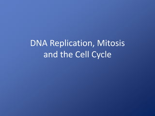 DNA Replication, Mitosis, Meiosis, and Cell Cycle | PPT