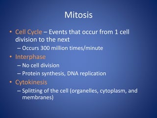 DNA Replication, Mitosis, Meiosis, and Cell Cycle | PPTX