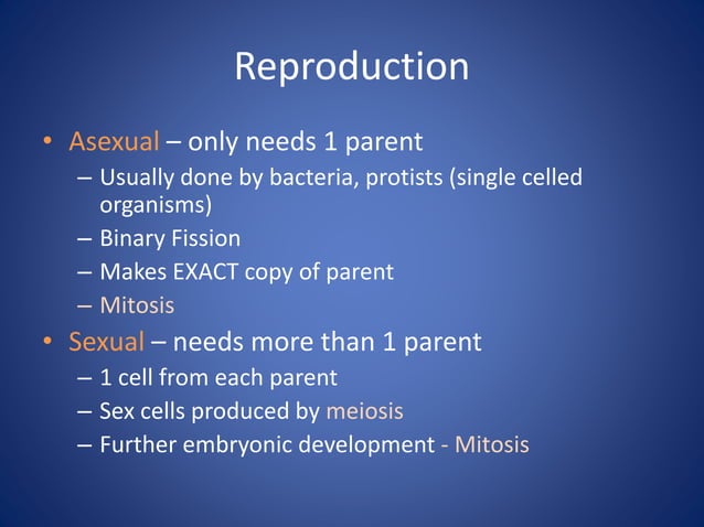 DNA Replication, Mitosis, Meiosis, and Cell Cycle | PPT