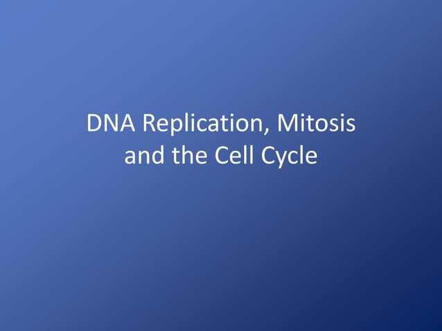 DNA Replication, Mitosis, Meiosis, and Cell Cycle | PPT