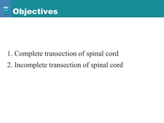 9.transection of sc kjg | PDF
