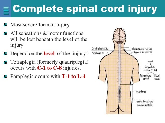 9.transection of sc kjg