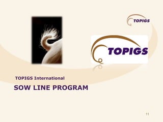 topigs balanced breeding presentation vietnam | PPT