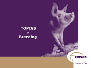 topigs balanced breeding presentation vietnam | PPT
