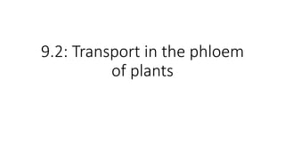 9.2 phloem | PPT