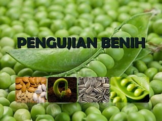 9. pengujian-benih | PPT