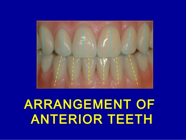 9. anterior teeth arrangement
