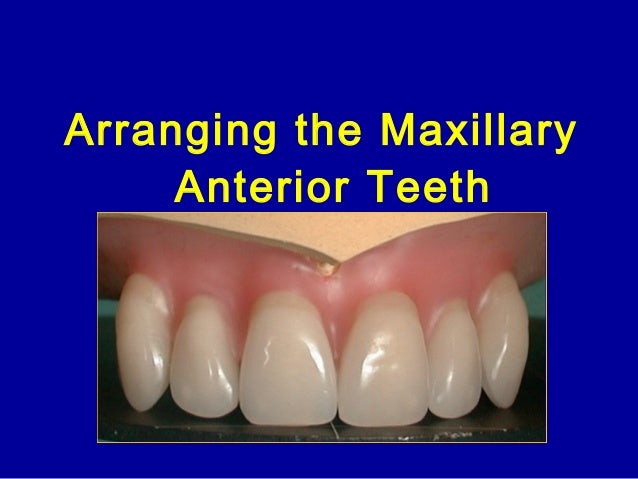 9. anterior teeth arrangement
