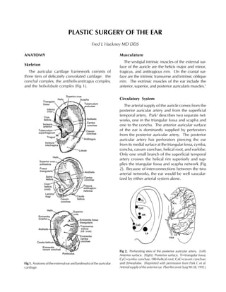 plastic surgery of the ear | PDF