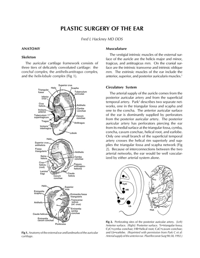 plastic surgery of the ear