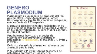 Paludismo | PPTX