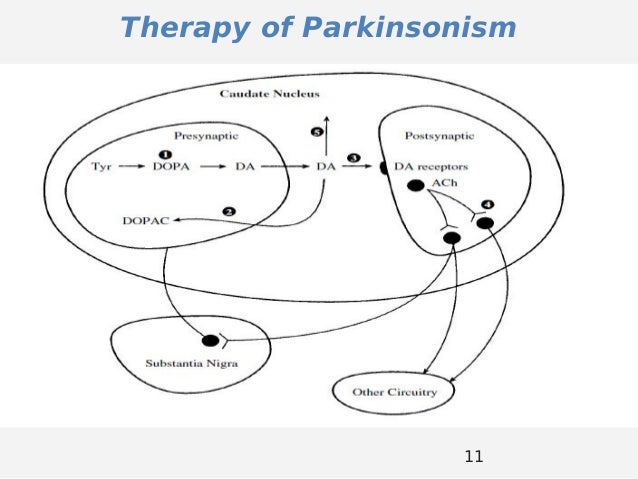 pathophysiology of parkinsons disease