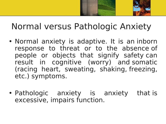 Pathophysiology of anxiety | PDF | Brain and Nervous System Disorders ...