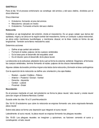 9. Gastrulación y Neurulación | DOCX