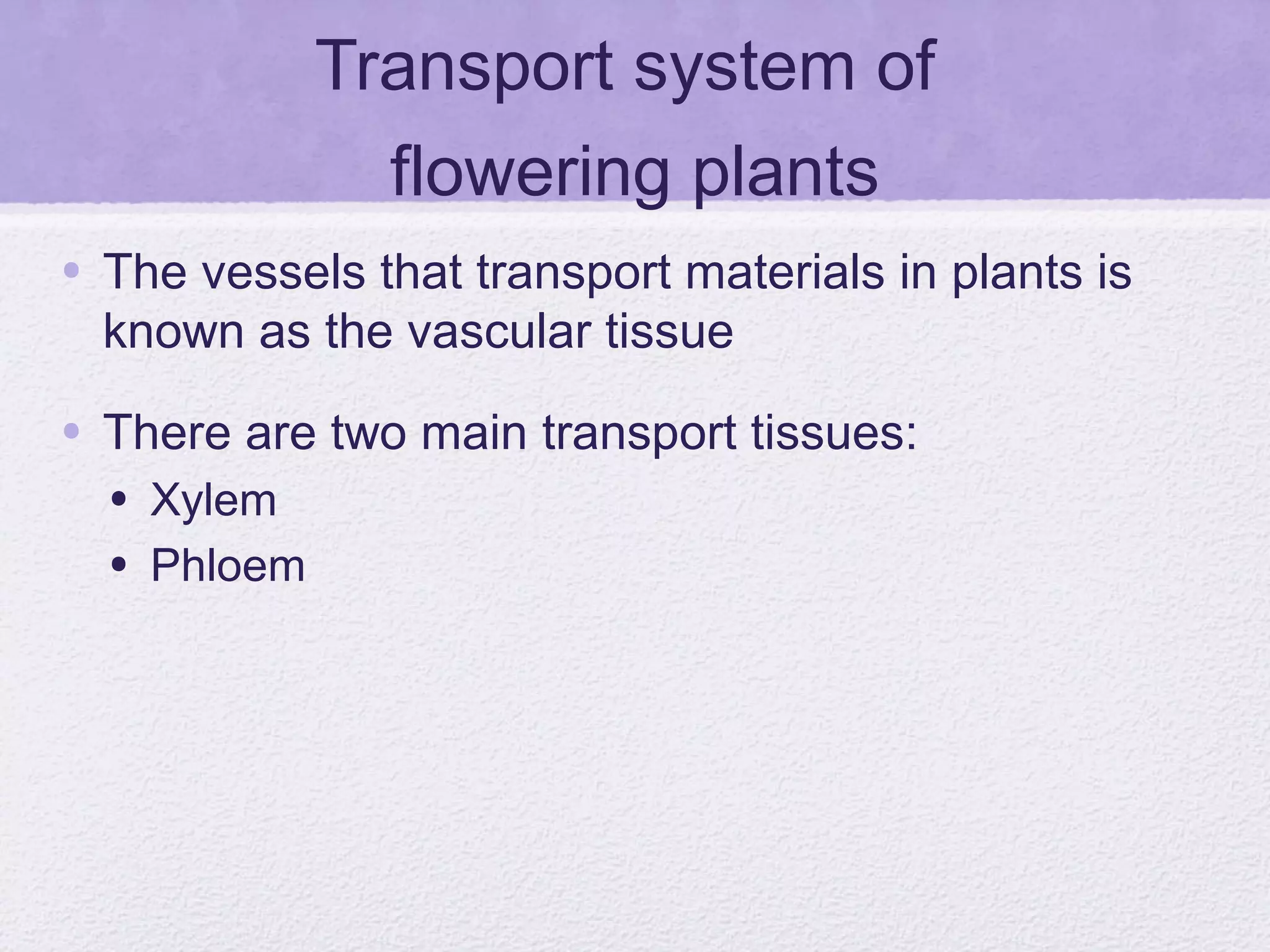 transport in plants | PPT
