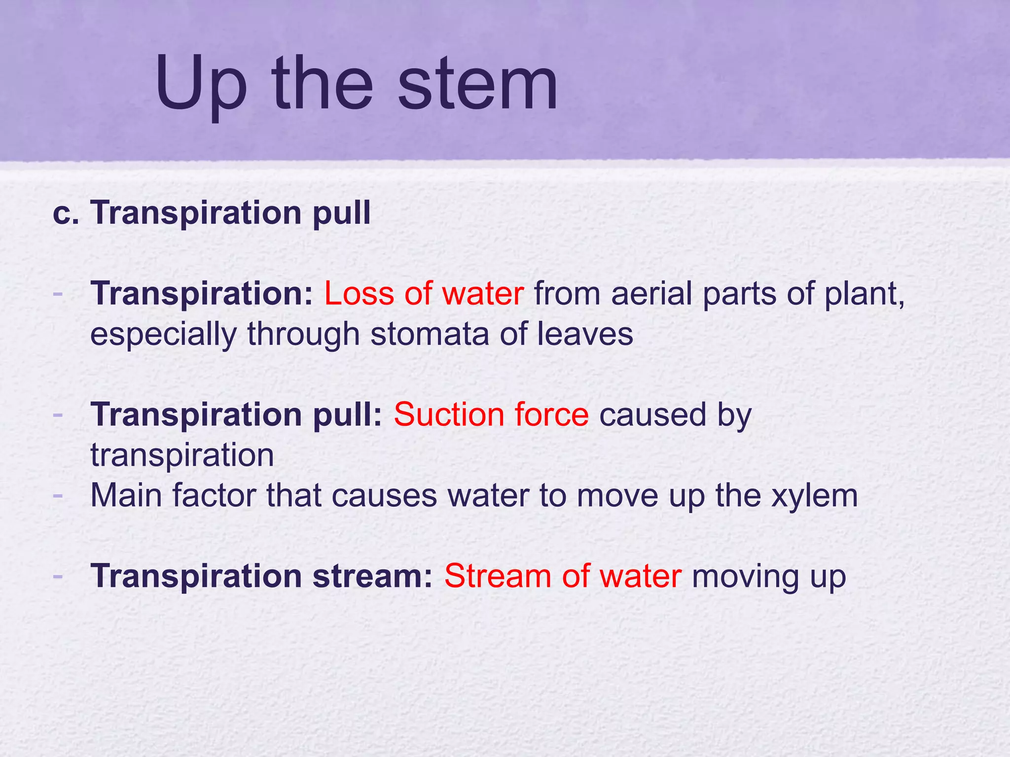 transport in plants | PPT
