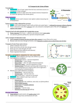 9.1-9.4 Plant Biology (AHL) Notes | PDF