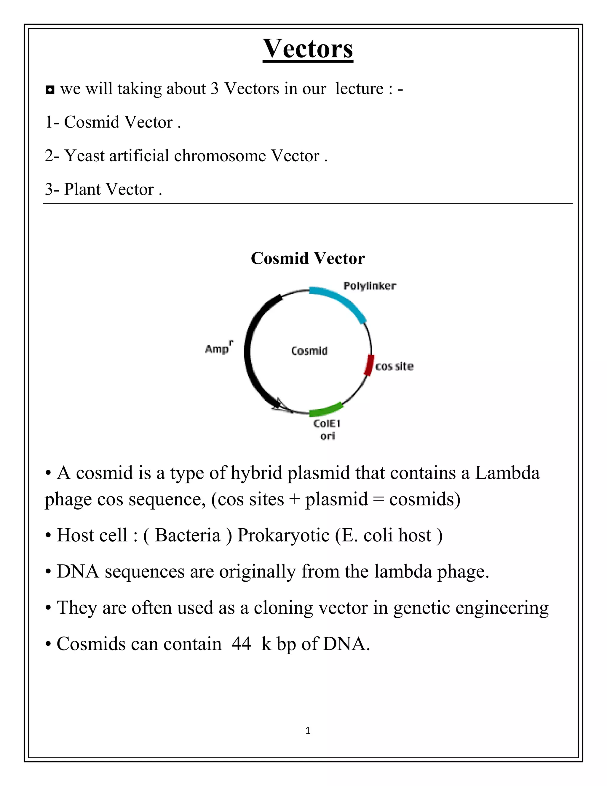 Cosmid Vector and Yeast artificial chromosome Vector and Plant Vectors ...