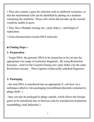 Cosmid Vector and Yeast artificial chromosome Vector and Plant Vectors ...