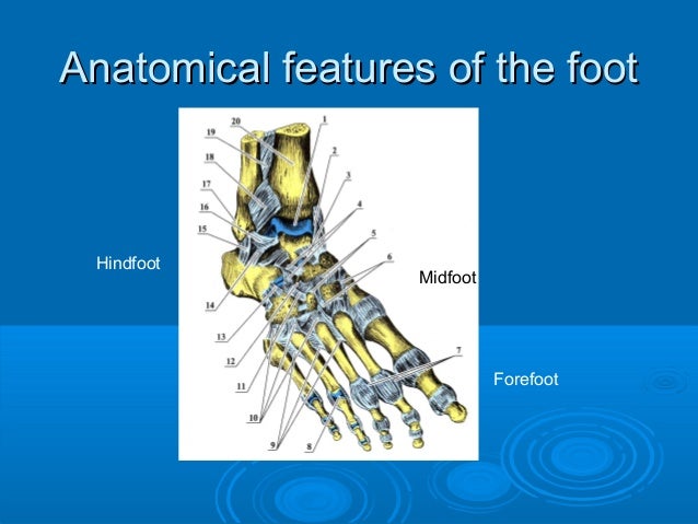 Deformities of the Foot