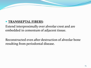 9.periodontal ligament ppt | PPTX