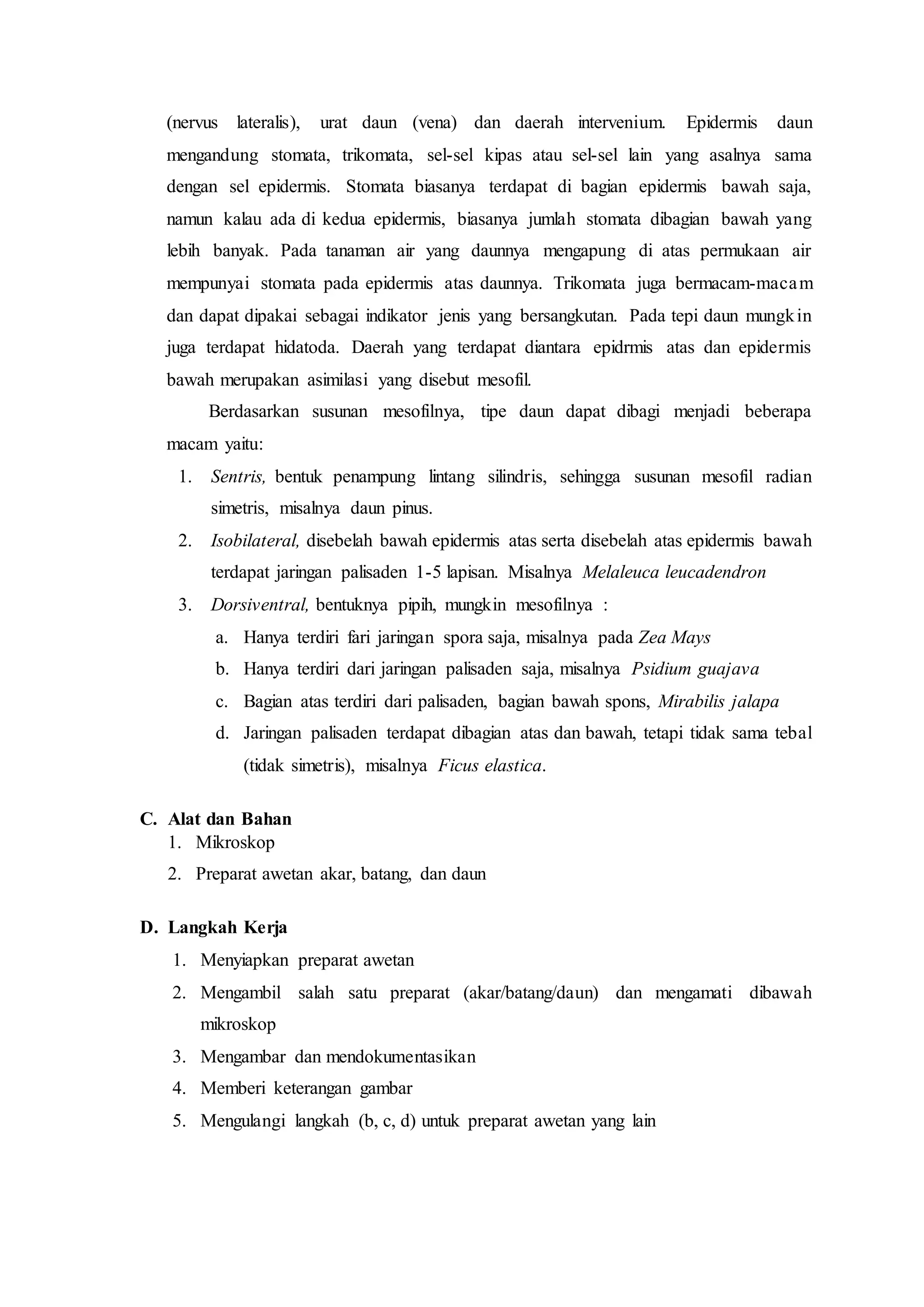 9. laporan praktikum biologi struktur akar, batang, dan daun | DOCX