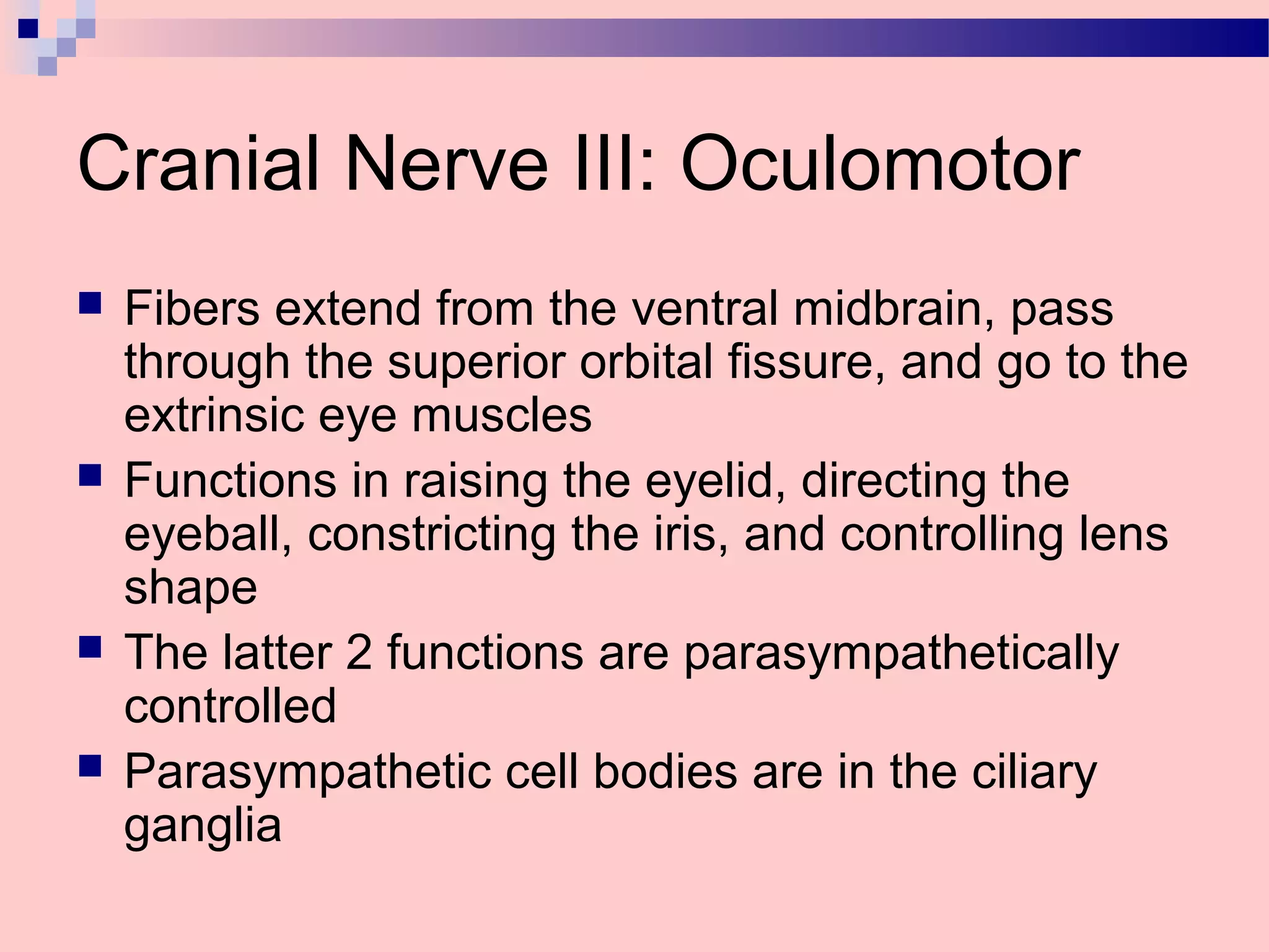 Peripheral Nervous System. Cranial Nerves – Part 1 | PPT