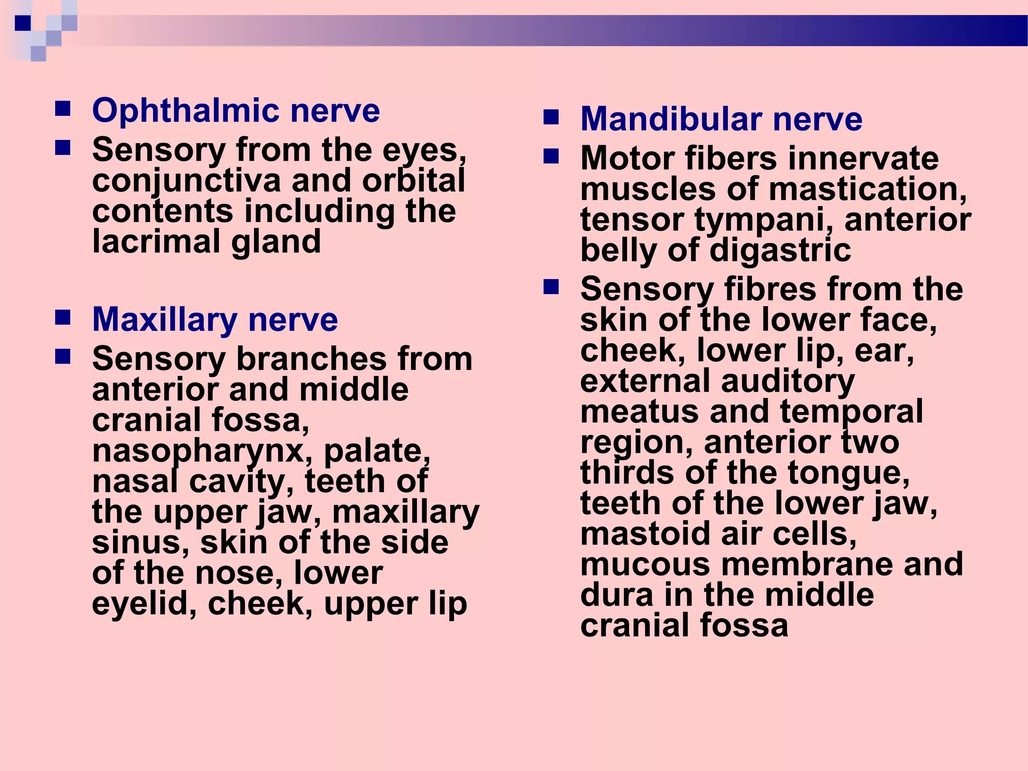 Peripheral Nervous System. Cranial Nerves – Part 1 | PPT