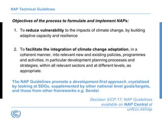 The NAP-SDG iFrame | PDF