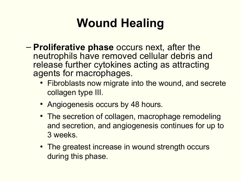 Skin wounds. Classification