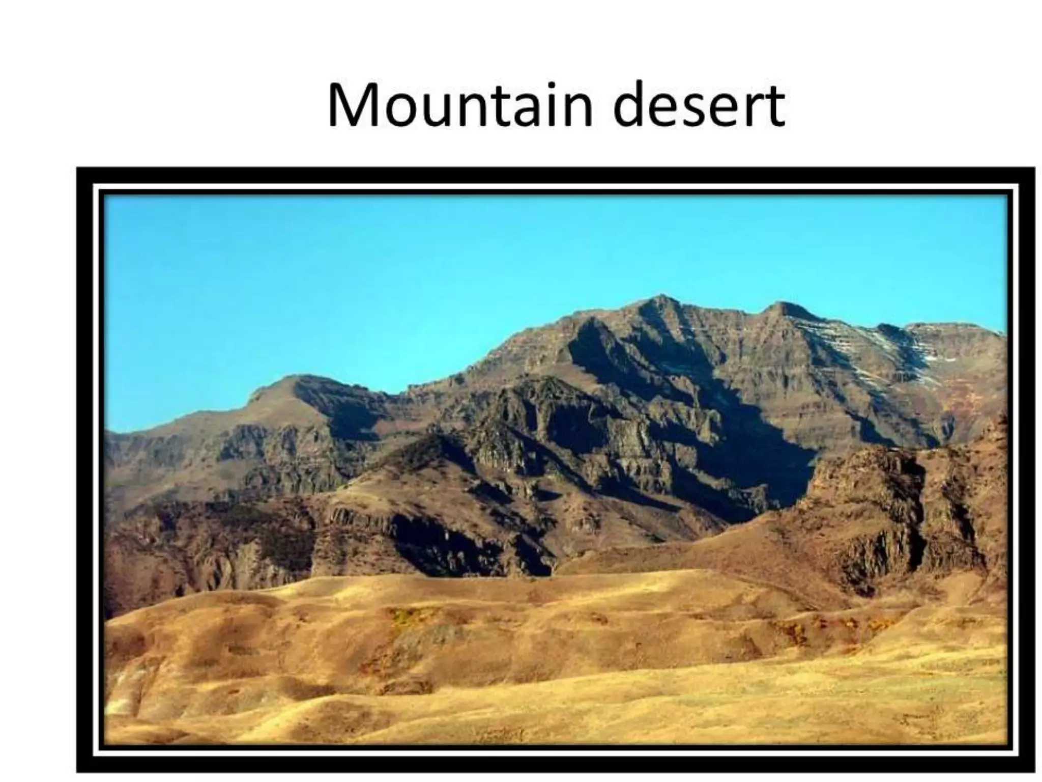 9.Biodiversity ; desert ecosystemA Presentation By Mr. Allah Dad Khan ...