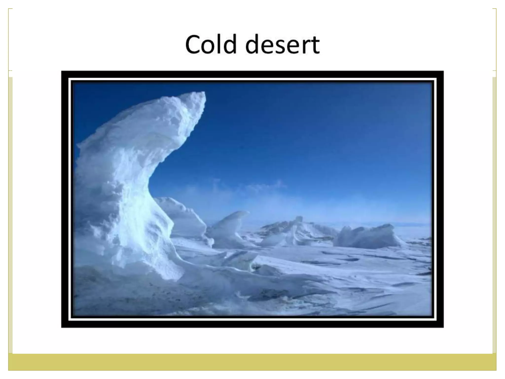 9.Biodiversity ; desert ecosystemA Presentation By Mr. Allah Dad Khan ...