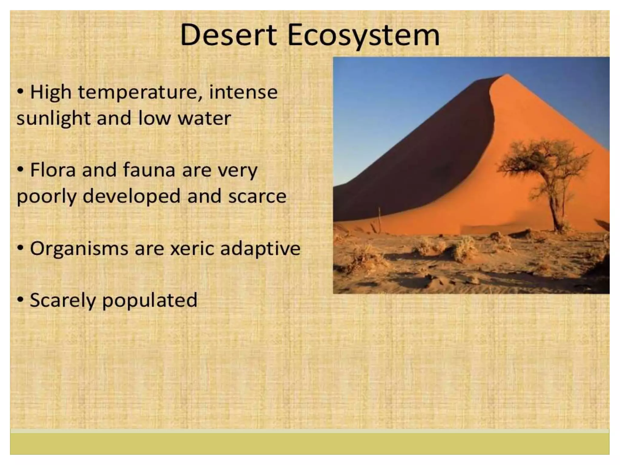 9.Biodiversity ; desert ecosystemA Presentation By Mr. Allah Dad Khan ...