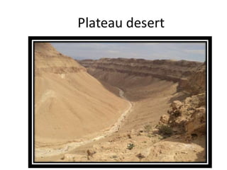 9.Biodiversity ; desert ecosystemA Presentation By Mr. Allah Dad Khan ...