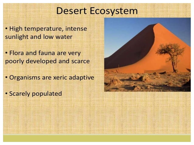 9.Biodiversity ; desert ecosystemA Presentation By Mr. Allah Dad Khan ...