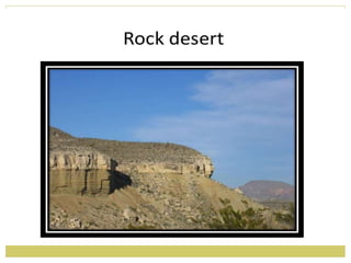 9.Biodiversity ; desert ecosystemA Presentation By Mr. Allah Dad Khan ...