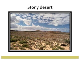 9.Biodiversity ; desert ecosystemA Presentation By Mr. Allah Dad Khan ...