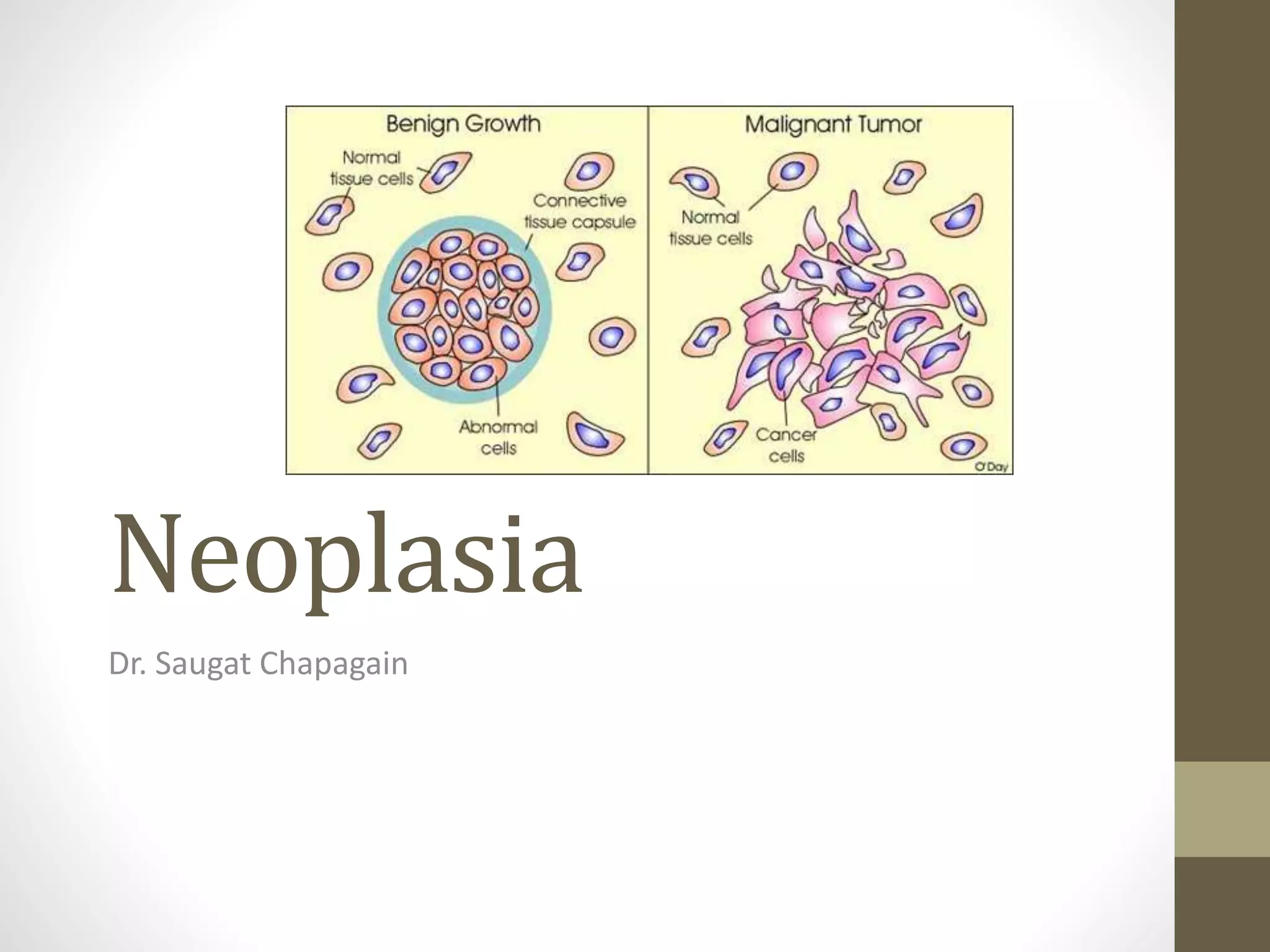 9. neoplasia | PPTX